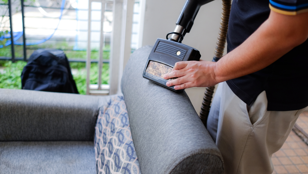 Comment éliminer les acariens dans sa maison - Mes Astuces Faciles